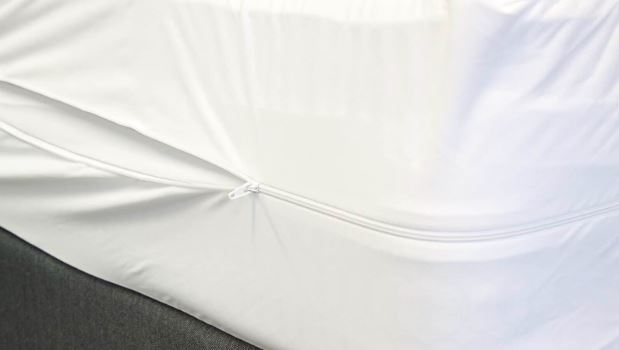 Mattress Encasement: Is It Really Necessary for Your Bedding? – DZEE Home